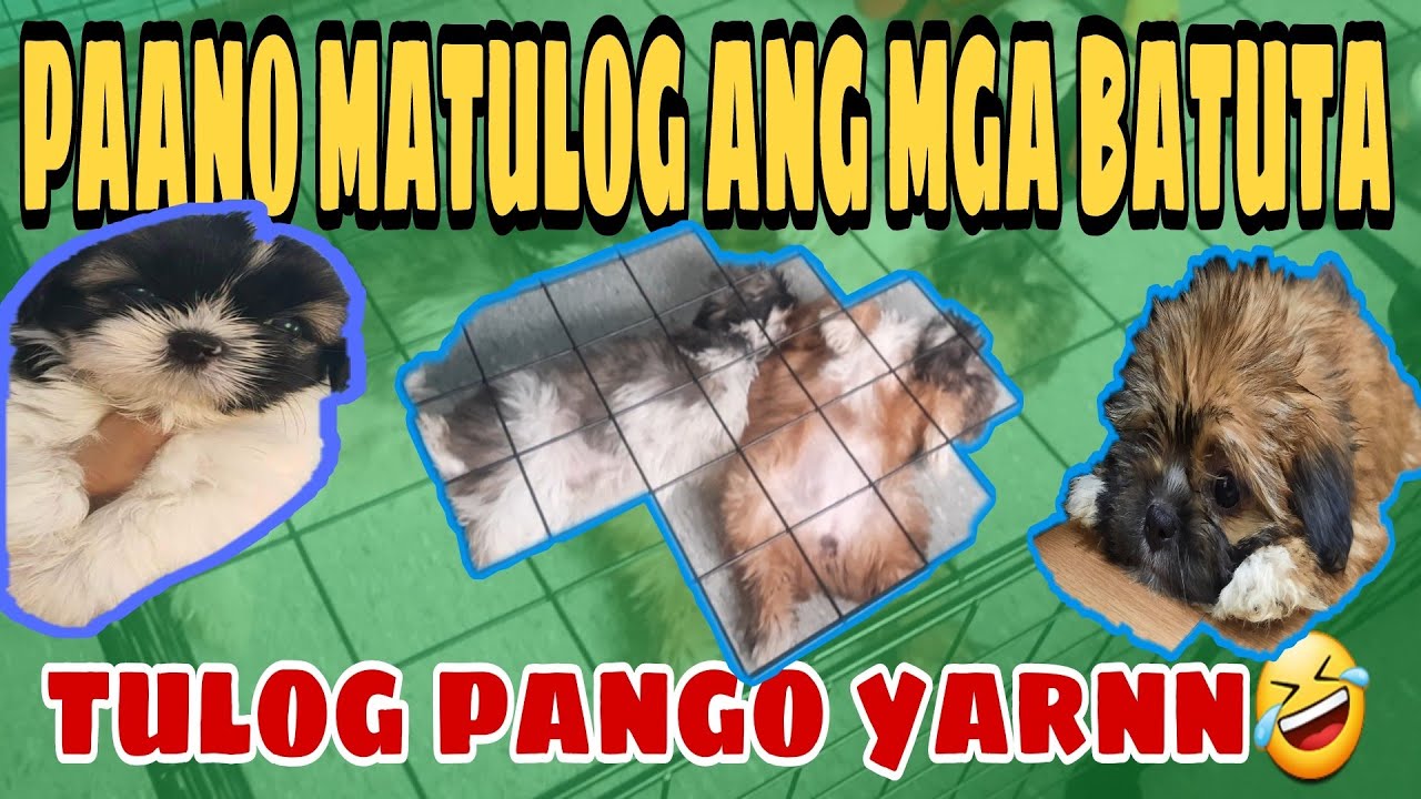 PAANO MATULOG ANG MGA PANGO | TULOG PANGO YARNN | V SIBLINGS - YouTube