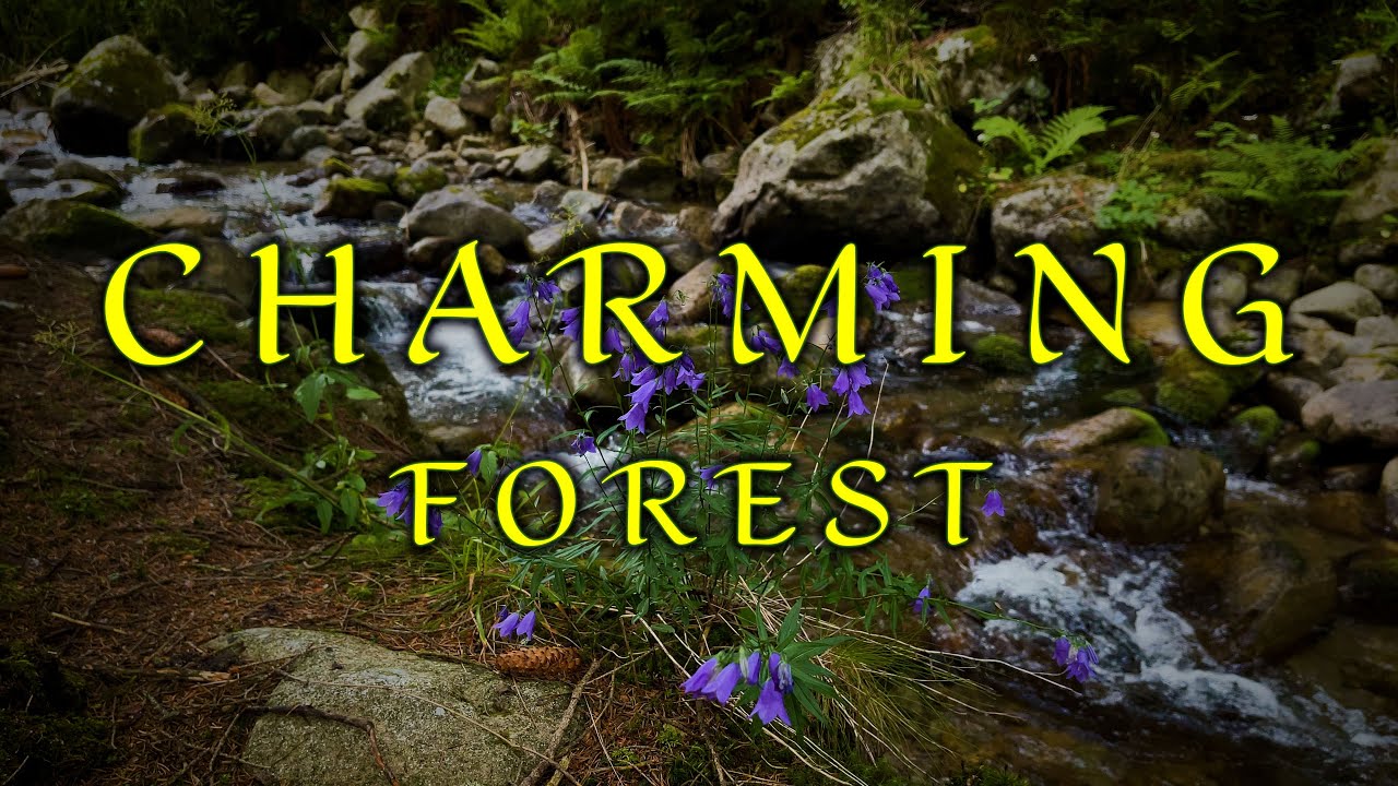 Charming forest retreat, dreamy flowers and relaxing music - YouTube