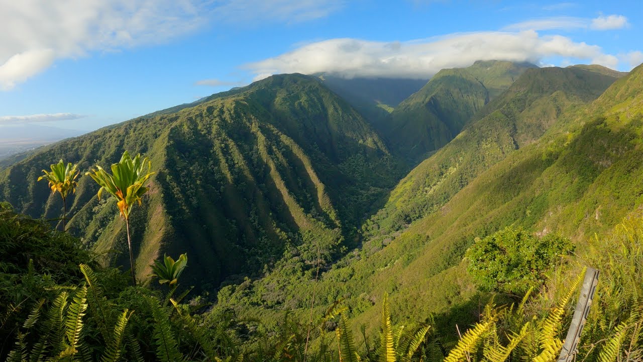 HAWAII 2021 - YouTube