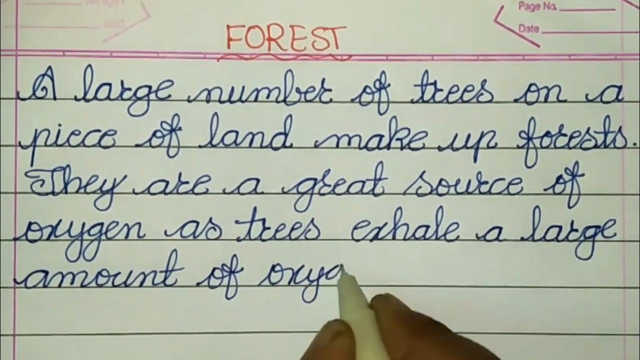 Paragraph on Forest - YouTube