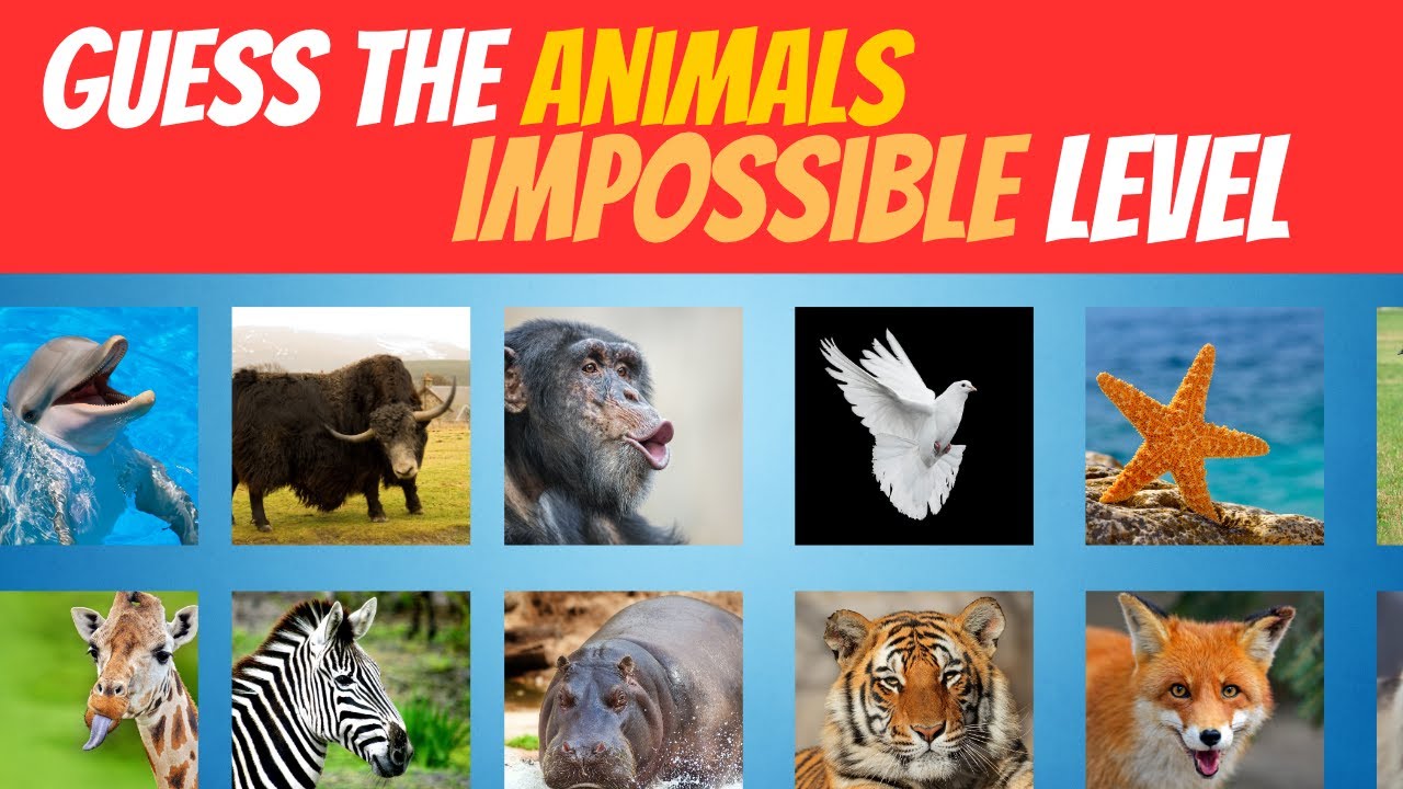 The HARDEST Animal Quiz Ever Made! 💥 | 50 Impossible Animals - YouTube