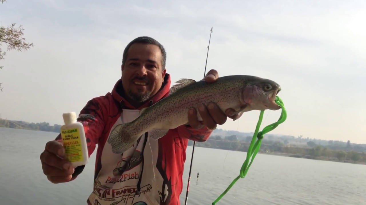 Rainbow Trout Fishing at Shadow Cliffs Regional Park - YouTube