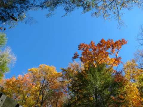 Fall Colors at Helen - YouTube