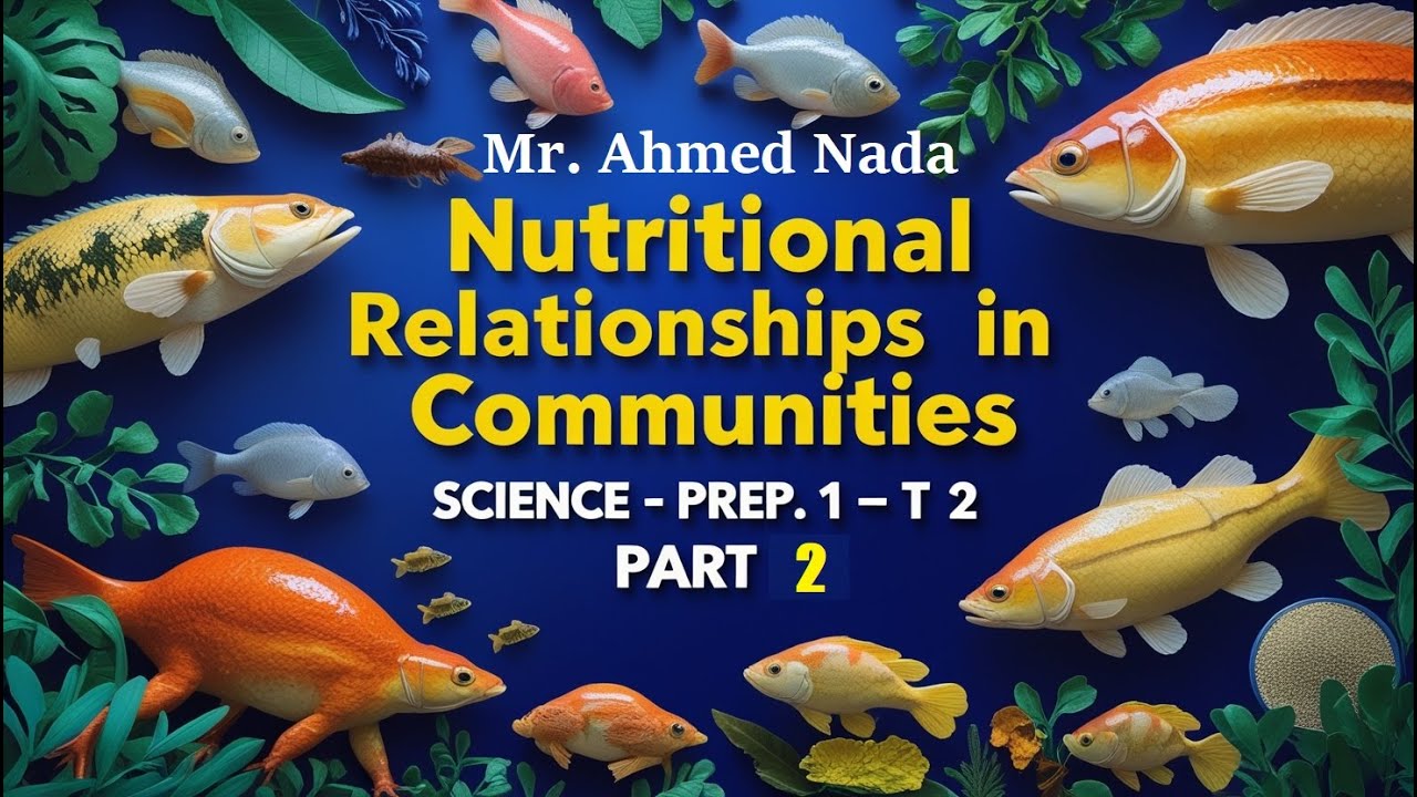 Nutritional Relationships in Biological Communities | Part 2 ...