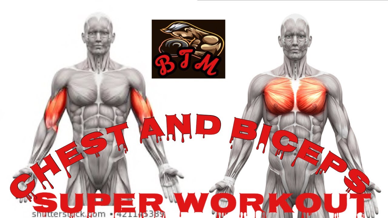 chest and biceps super workout bodybuilding tips and motivation 2019 ...