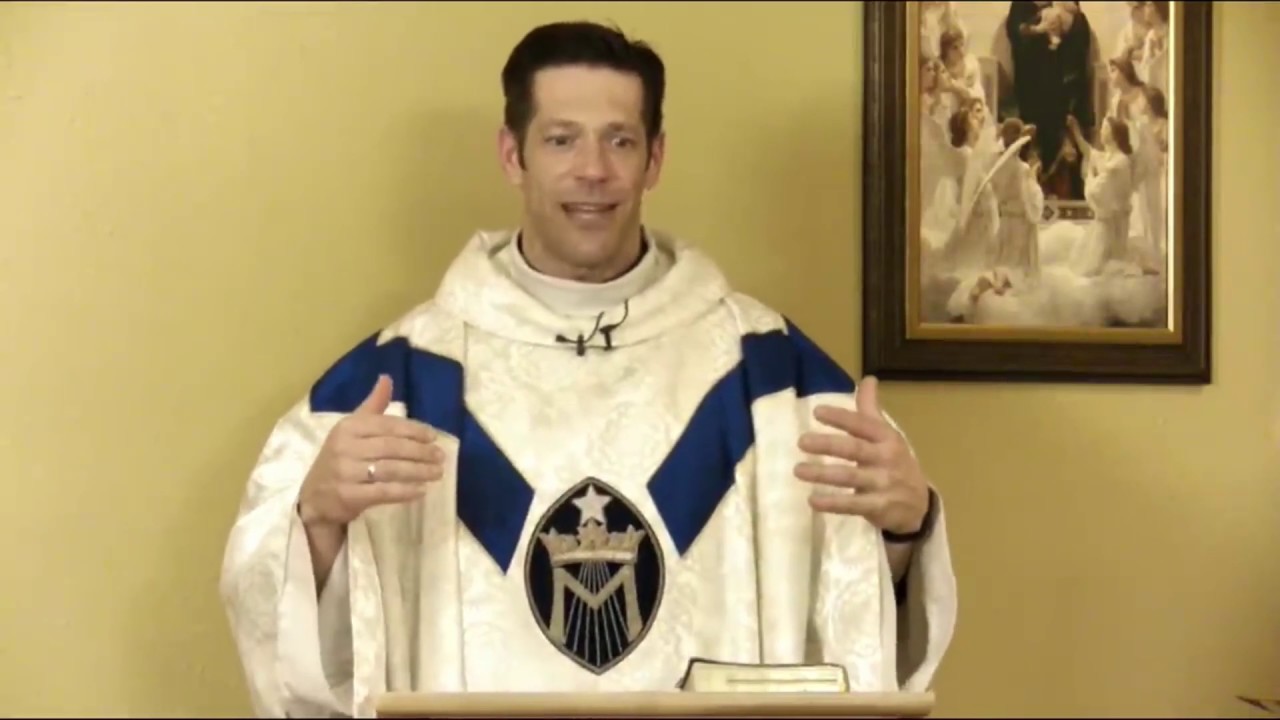 Fr. Mike Schmitz Homily Easter Vigil - YouTube