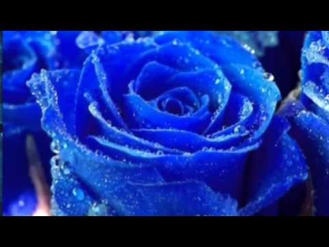 Alia Russell - YouTube