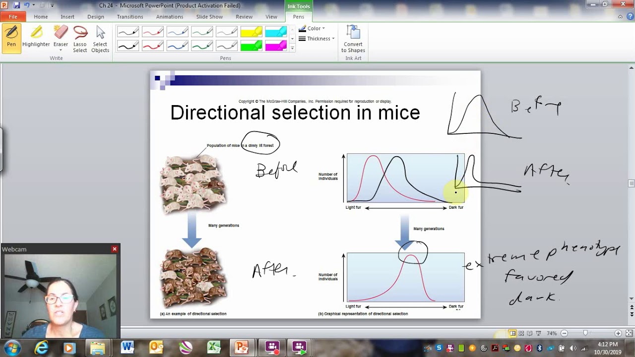Directional and Stabilizing Patterns of selection - YouTube