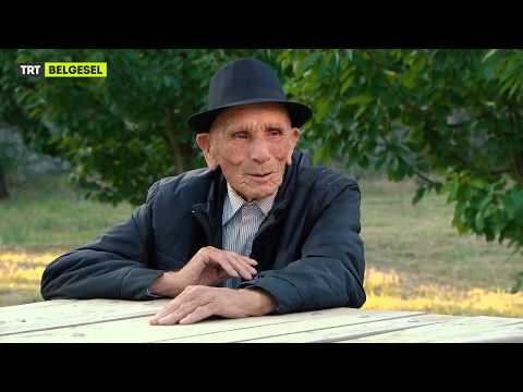 Genetik Faktörünüzün Uzun Yaşamanıza Etkisi Var Mı?