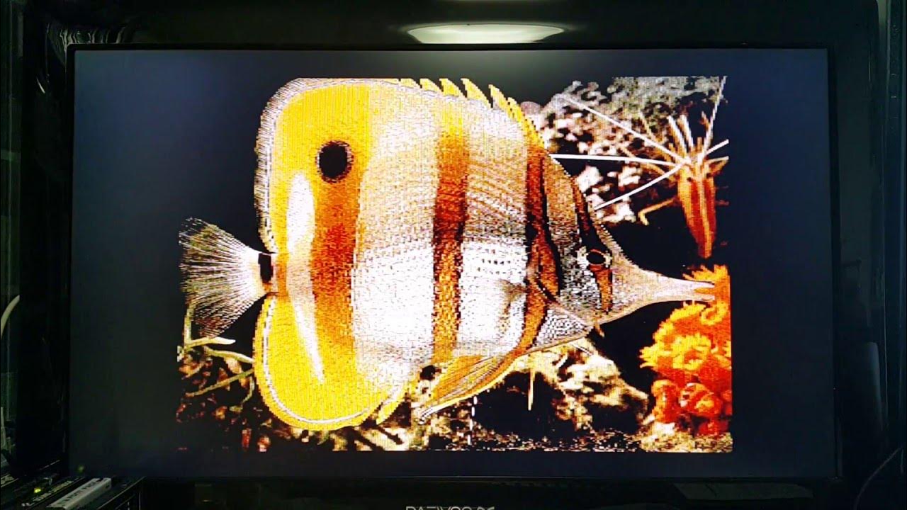 [MSX] GV (Graphic Viewer) in M v2.1 - YouTube