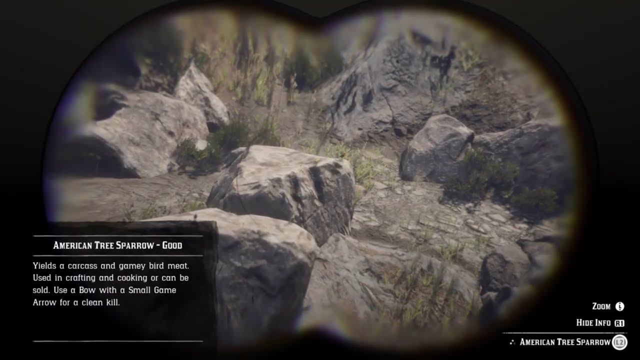 American Tree Sparrow | RDR2 - YouTube