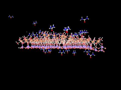Urea adsorption and desorption at both O- and T-faces of exfoliated kaolinite
