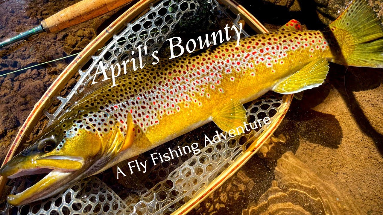 Enchanted April: A Fly Fishing Adventure in Central, NY - YouTube