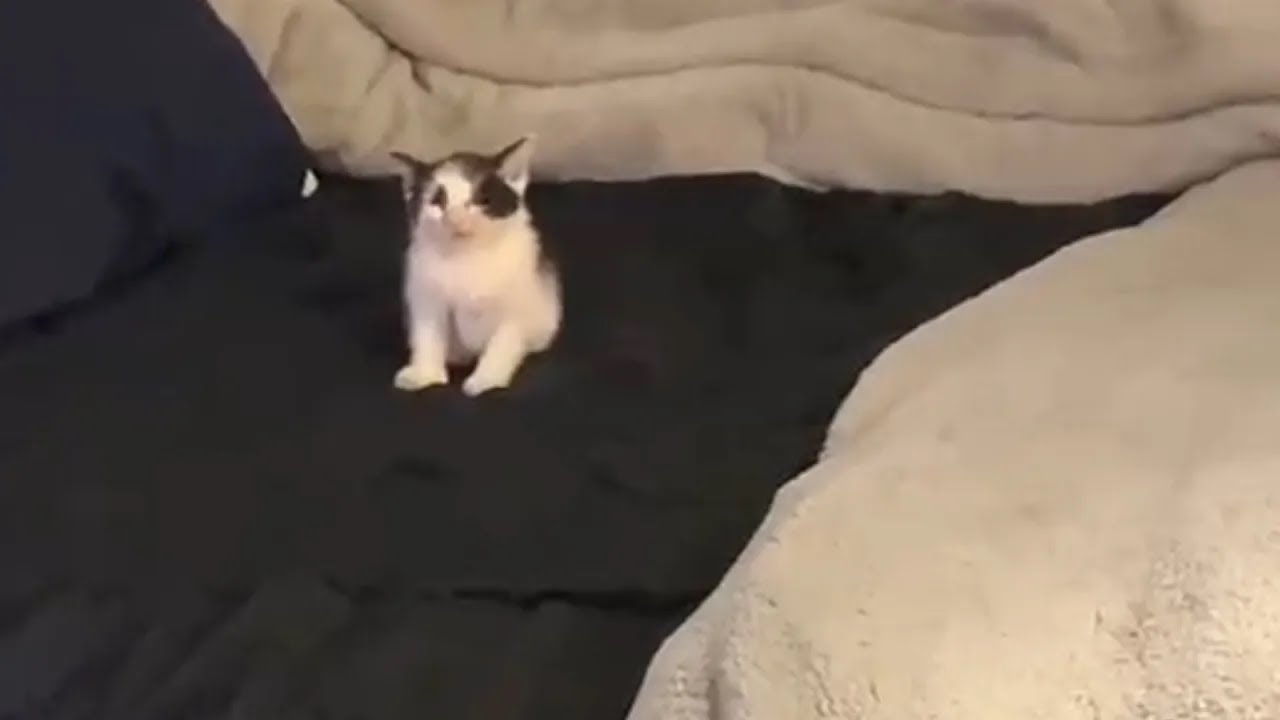 GOOFED FUNNY MEMES COMPILATION V20 - YouTube