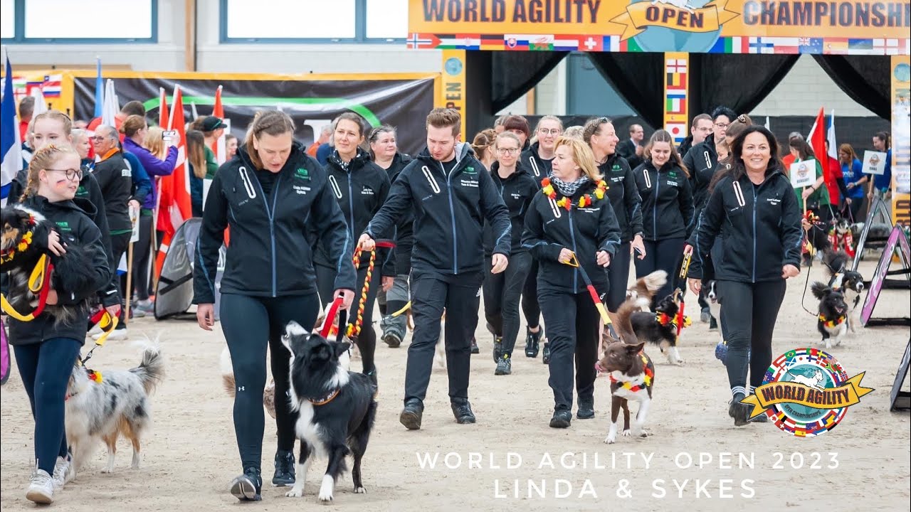 World Agility Open (WAO) 2023 | Linda Köhler & Sykes - Team Germany ...