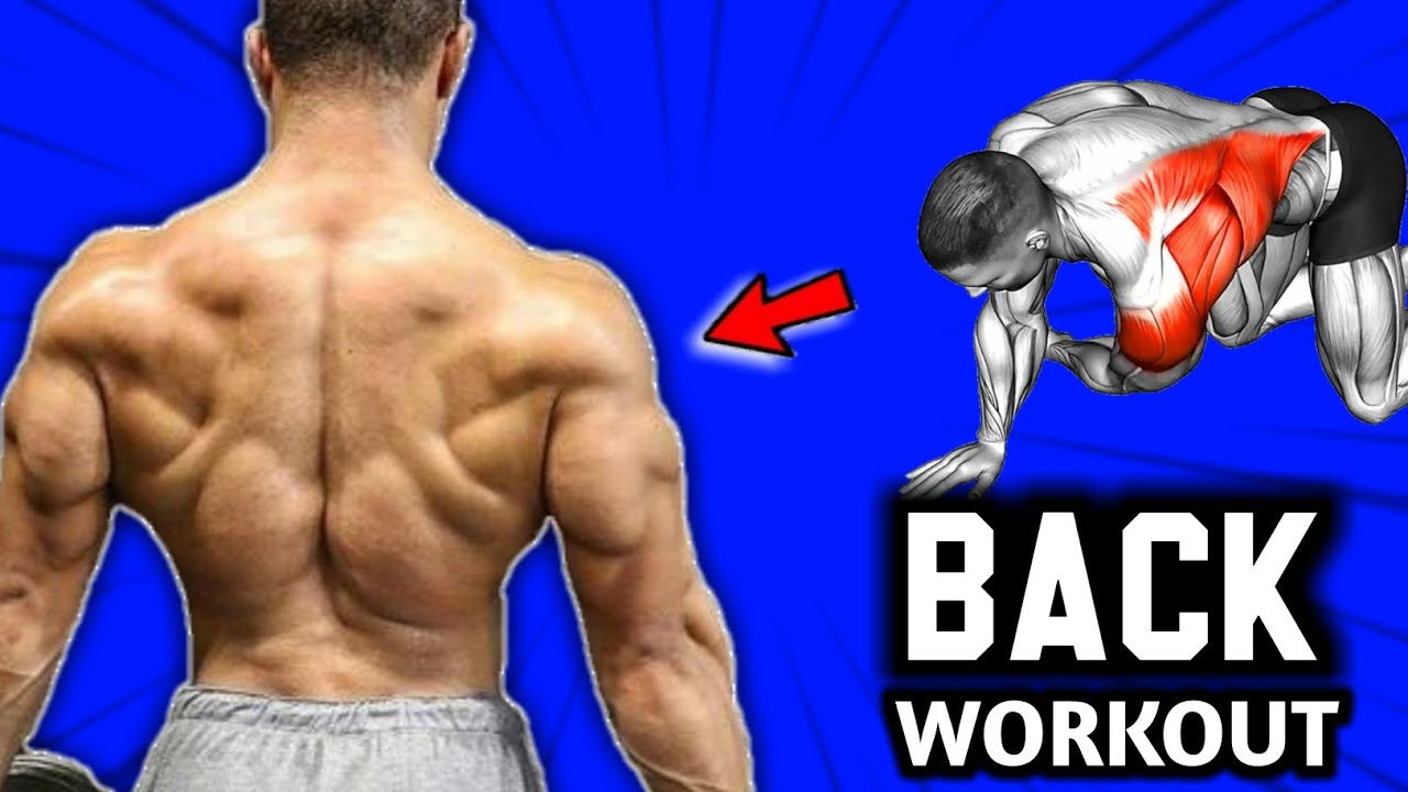 5 BEST Exercises for a BIGGER Back (NO EQUIPMENT!) - YouTube