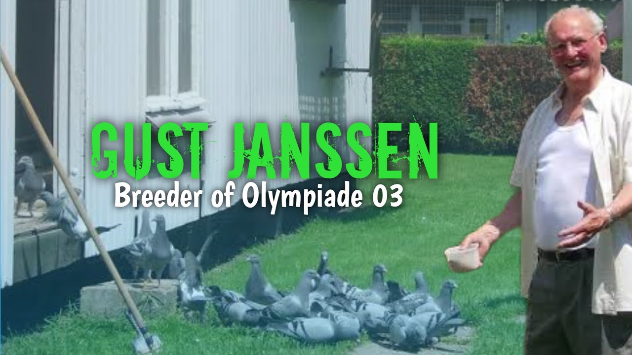 GUST JANSSEN - The Breeder of Olympiad 003 of Leo Heremans - YouTube