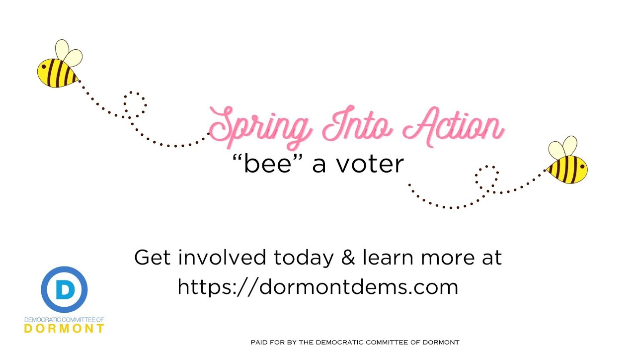 BEE a Voter: Address Voter Challenges - YouTube