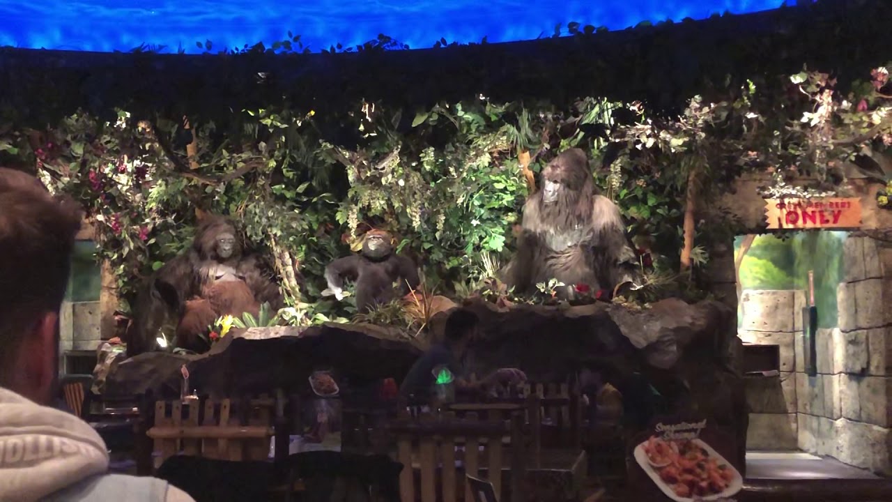 Rainforest cafe animatronics - YouTube