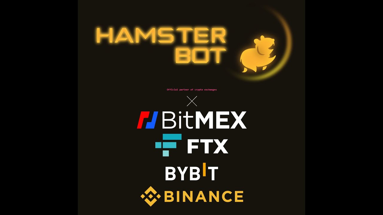 hamster-bot web интерфейс (инструкция) - YouTube