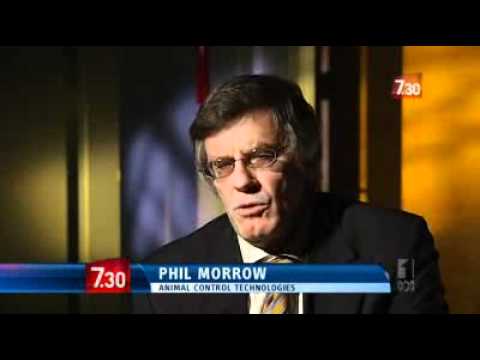 Australia's mice infestation - YouTube