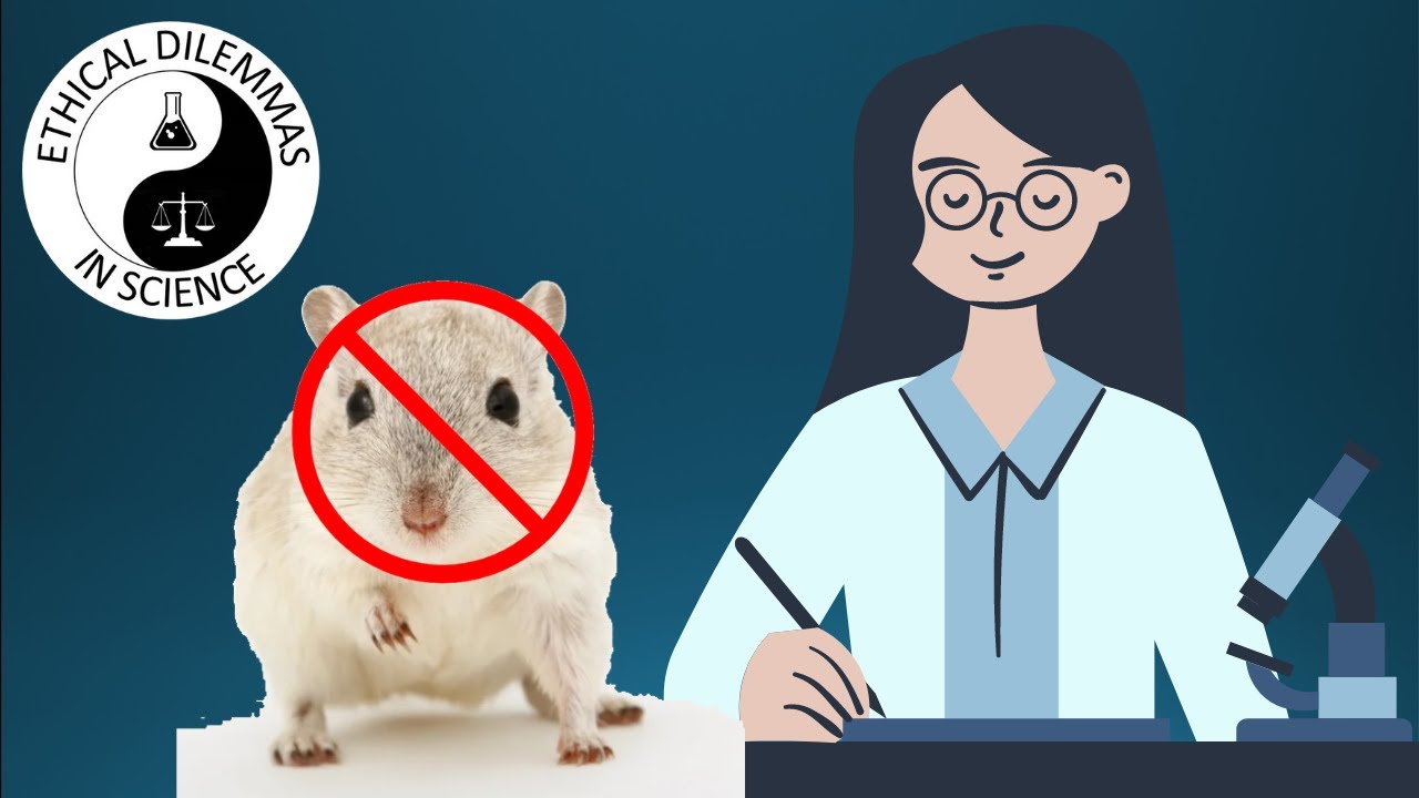 FDA Modernization Act 2.0: Is it time to stop animal testing - YouTube