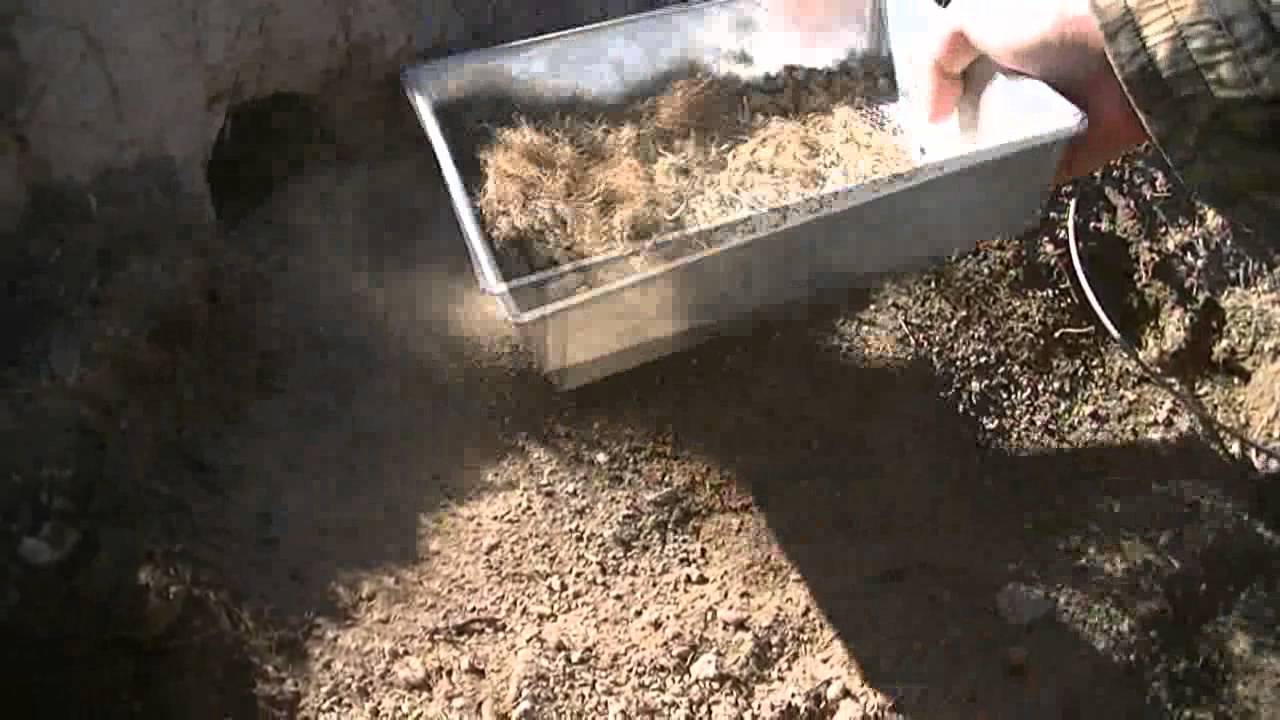 Fox trapping making a set for fox - YouTube