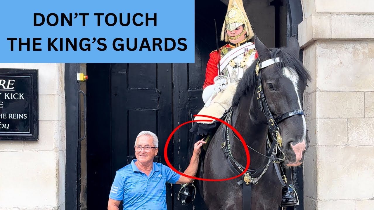 Don’t Touch The King’s Guards - YouTube