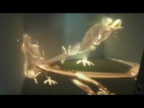 Immersive Projection Cave System - YouTube