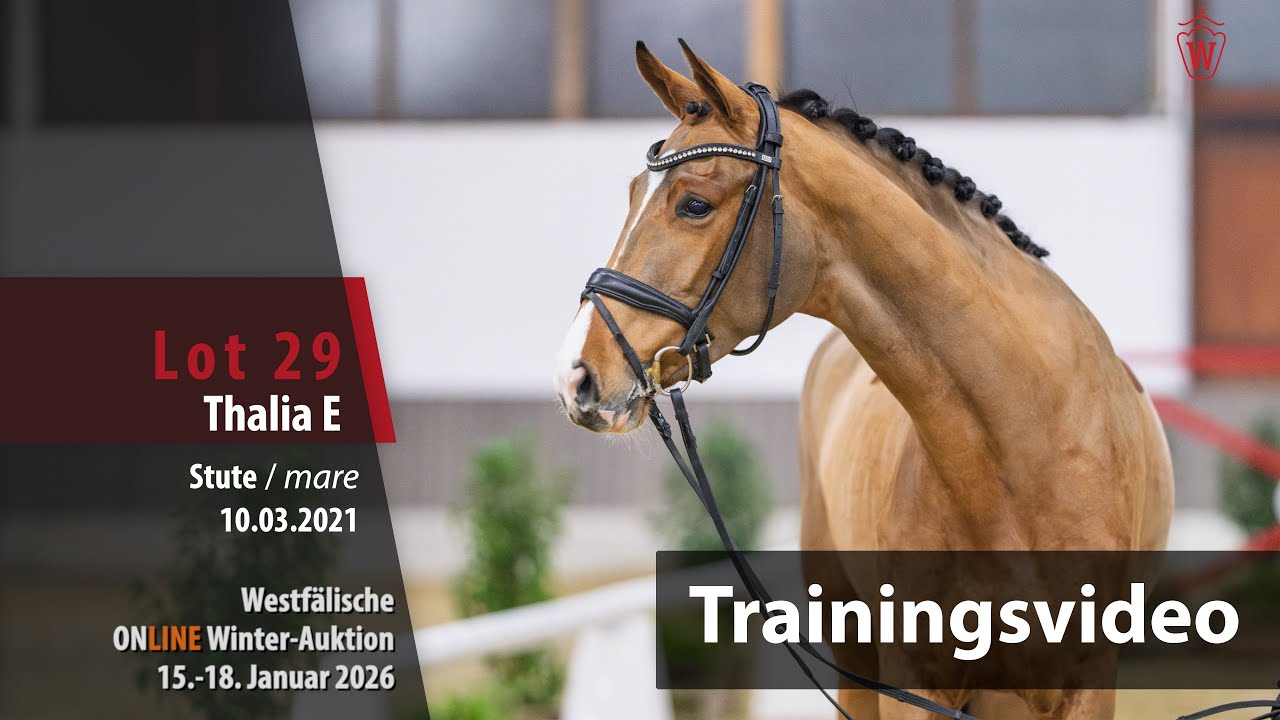 Online Winter-Auktion 2026 Training Lot 29 Thalia E Stute v. Taurus ...