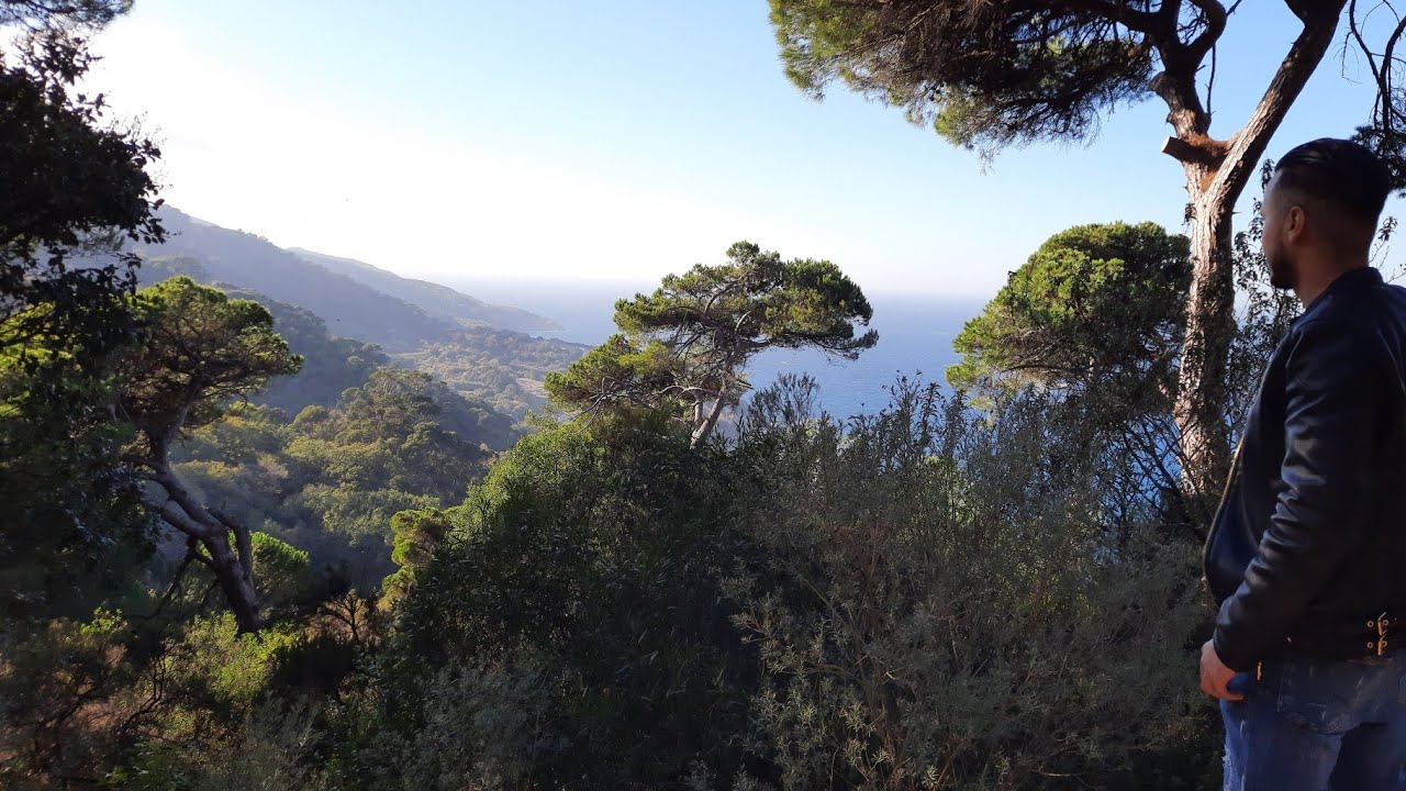 Parc Perdicaris, Tanger - Morocco | متنزه طنجة - المغرب,بيرديكاريس ...