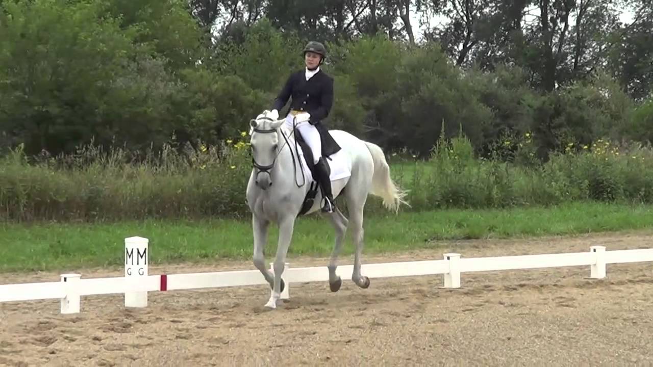 Stephanie Cauffman & Diligence Richland Park CIC & Horse Trials August ...