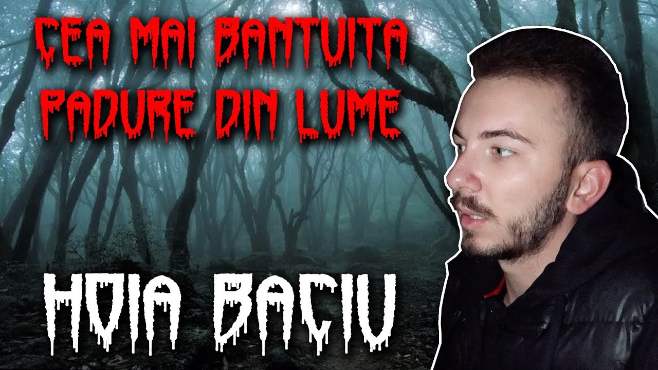 AM RAMAS PESTE NOAPTE IN PADUREA HOIA BACIU - YouTube