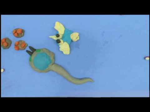 spore animation - YouTube