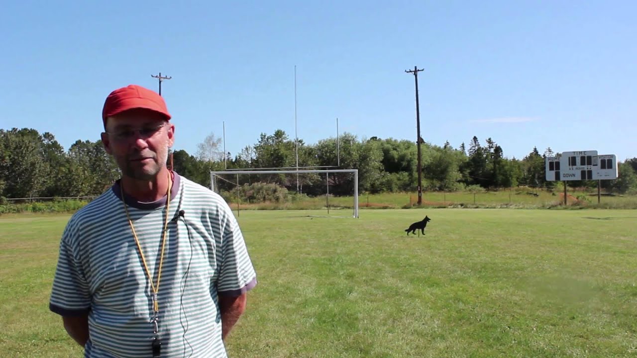 Watch Dog Goose Patrol in Two Harbors, MN - YouTube
