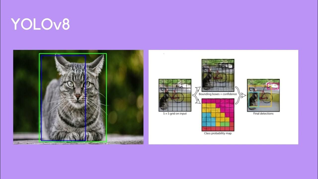 Real Time Pest Detection Using Deep Learning For Sustainable Agriculture Youtube