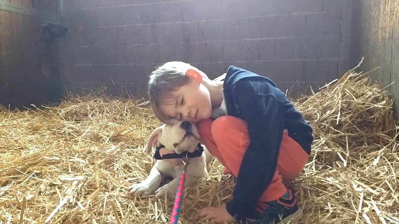 SUZANNE, 2 mesi - Proprietario: Marius Coca (Mirandola, Modena) - YouTube