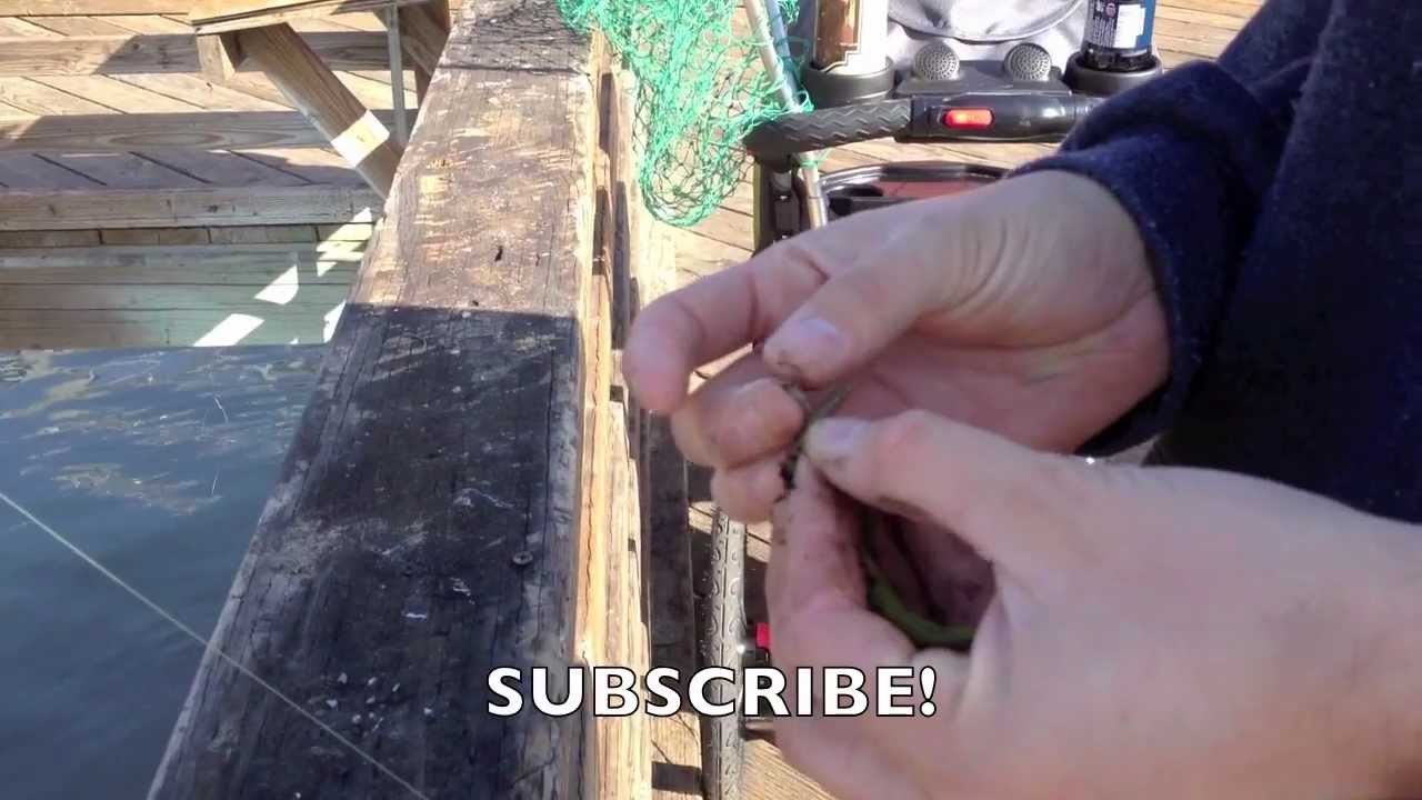 How To Use A Nightcrawler For Bait By Verdugoadventures! - YouTube