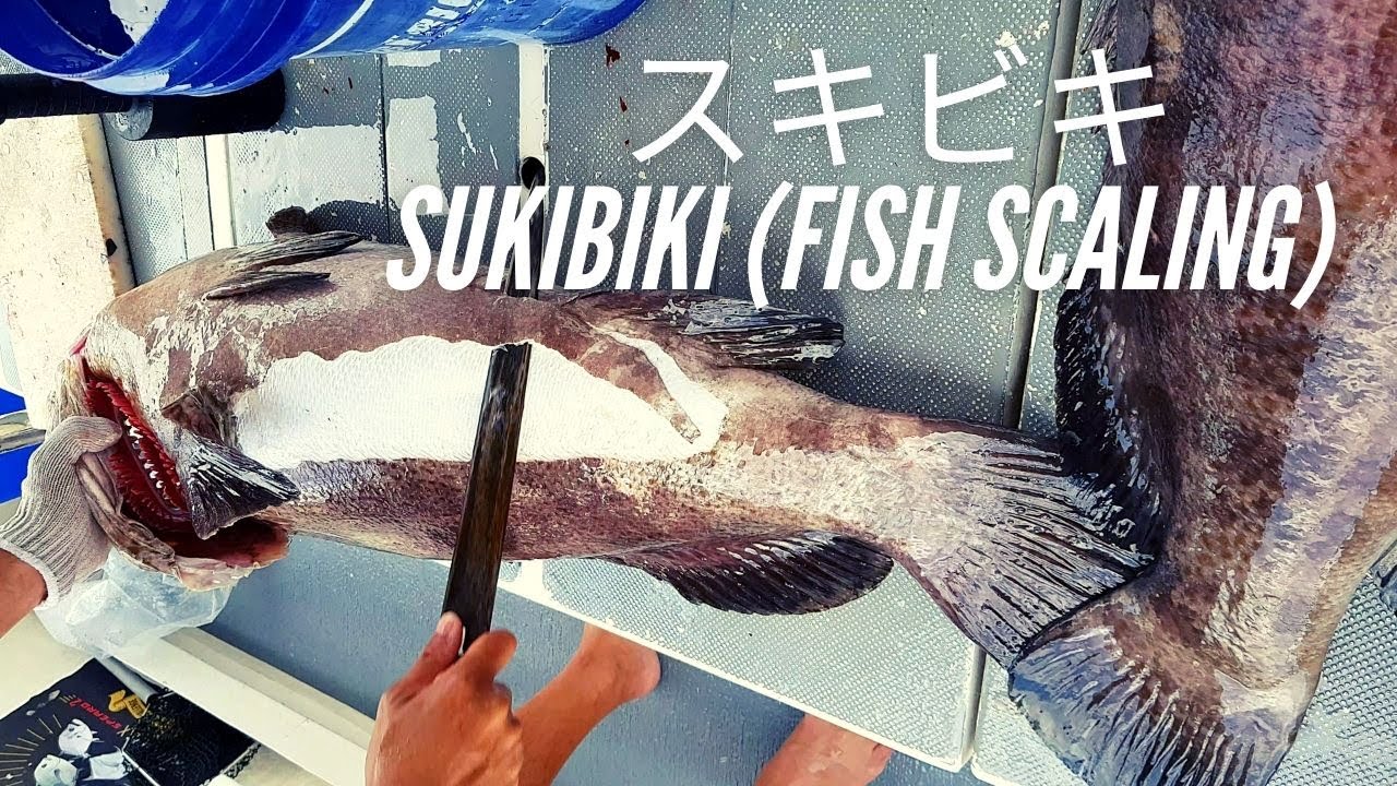 SUKIBIKI - Japanese fish scaling technique - YouTube