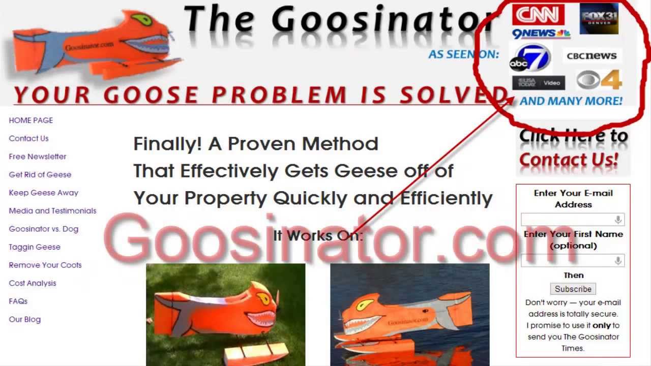 Goose Control For Good! - YouTube
