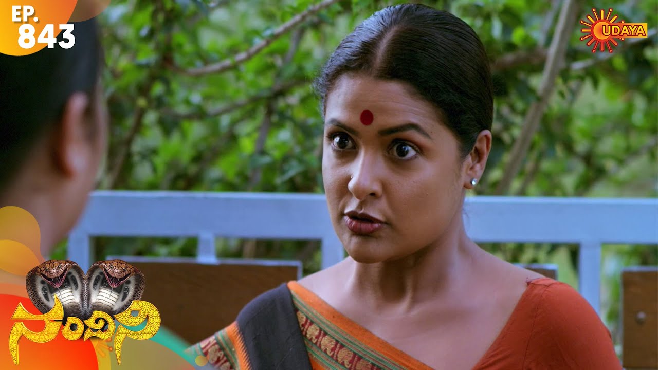 Nandini - Episode 843 | 10th Jan 2020 | Udaya TV Serial | Kannada ...