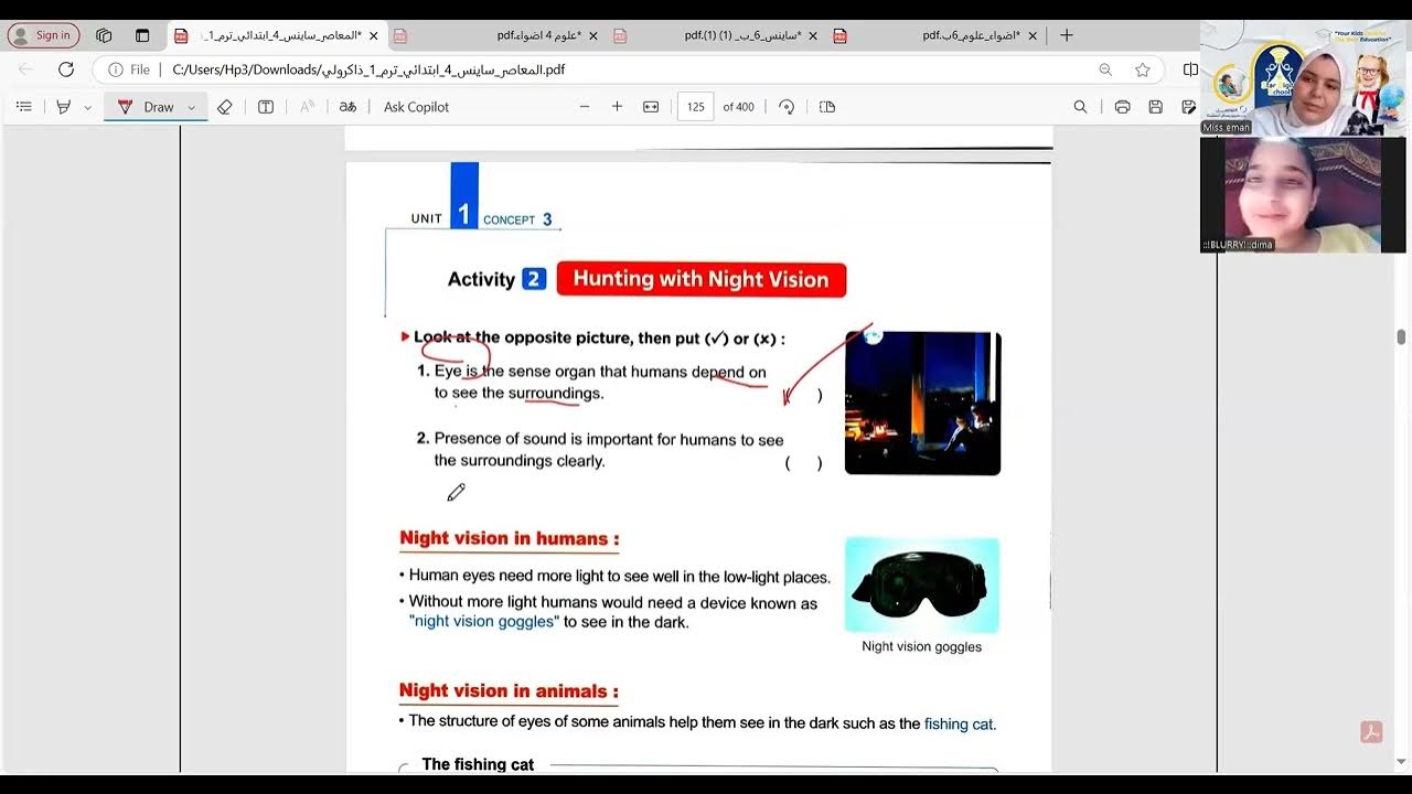 Light and sight sense - YouTube