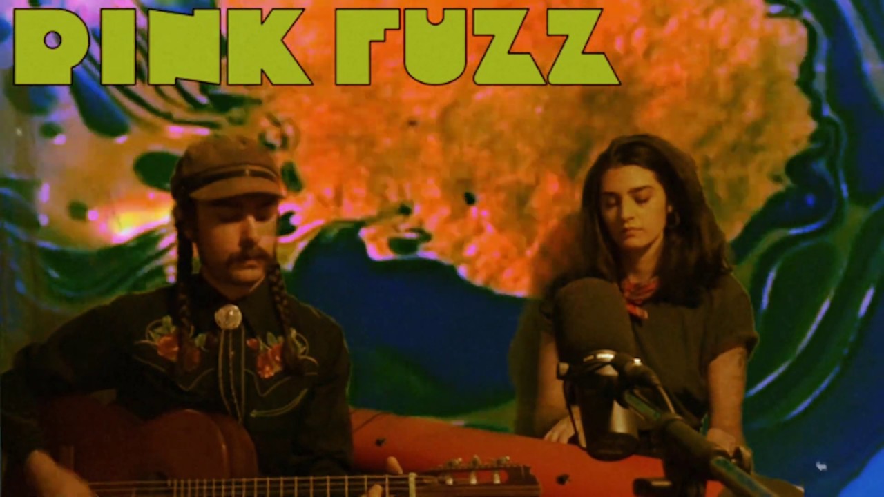 Pink Fuzz cover "Happiness is a Warm Gun" live quarantine session ...
