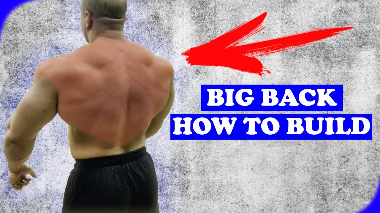 How to Build a Big Back - 5 Exercises - YouTube