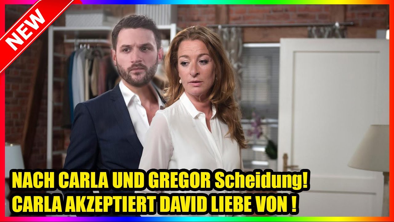 "ROTE ROSEN": NACH CARLA UND GREGOR Scheidung! CARLA AKZEPTIERT DAVID ...