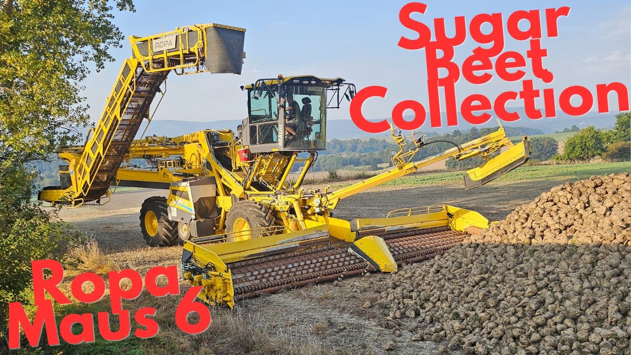 Biggest Machine Ropa Maus Euro 6 Collection of Sugar Beet Harvest ...