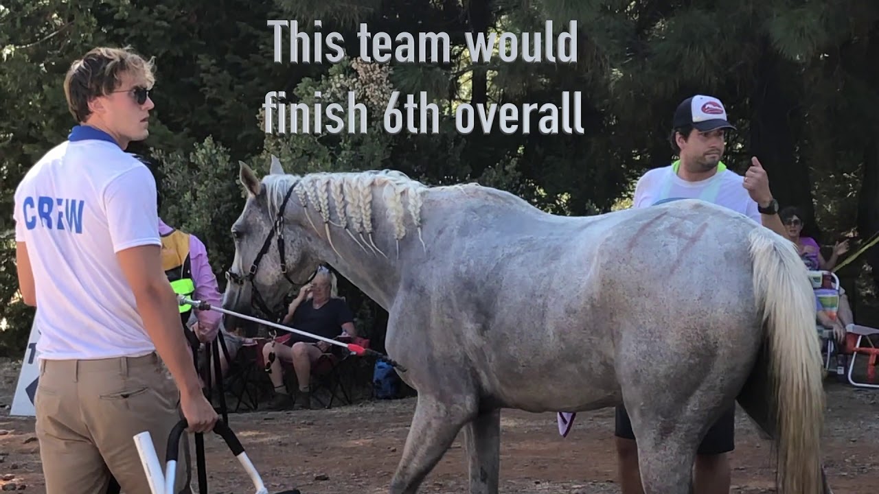 Tevis Cup 2019 - YouTube