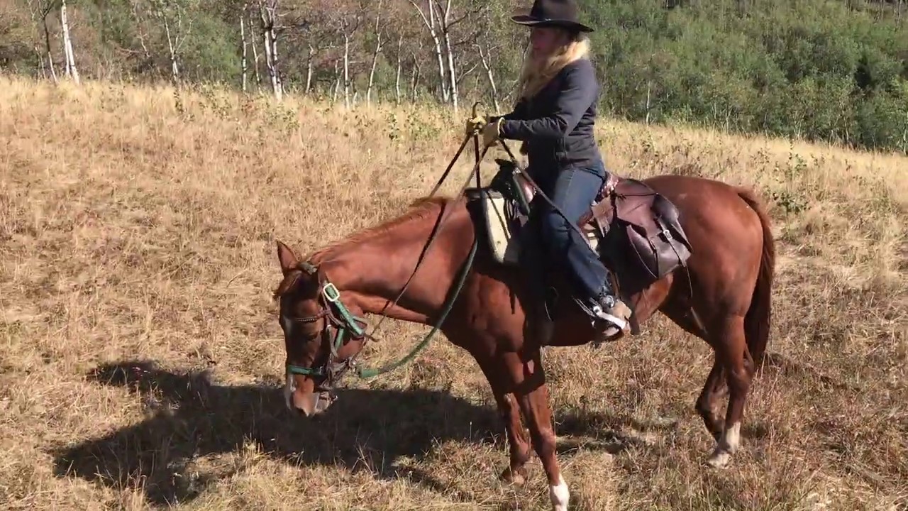 Moose Mountain British Columbia Canada Riding Sep 2017 - YouTube