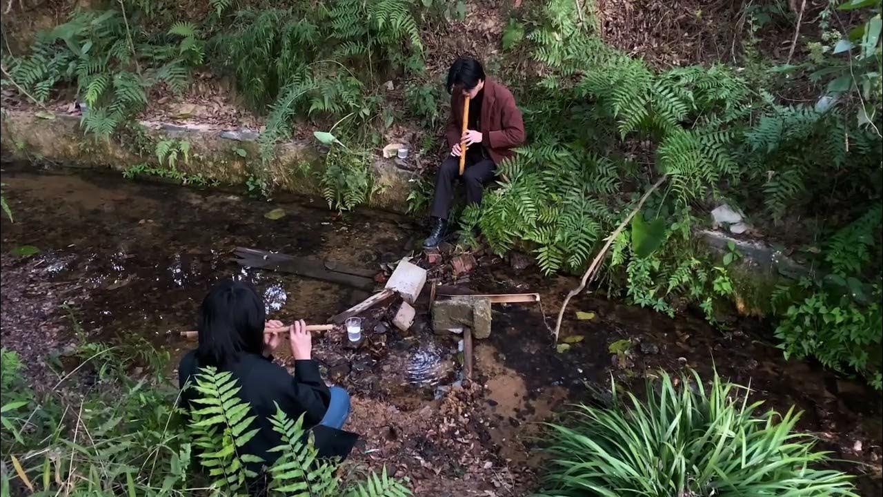 Yinlin Ecological Farm, guang zhou, part /duo: lu zheng, guang xu, - YouTube