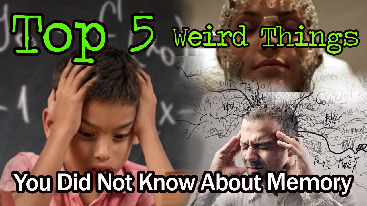 Top 5 Weird Things You Did Not Know About Memory | Unexpected World ...